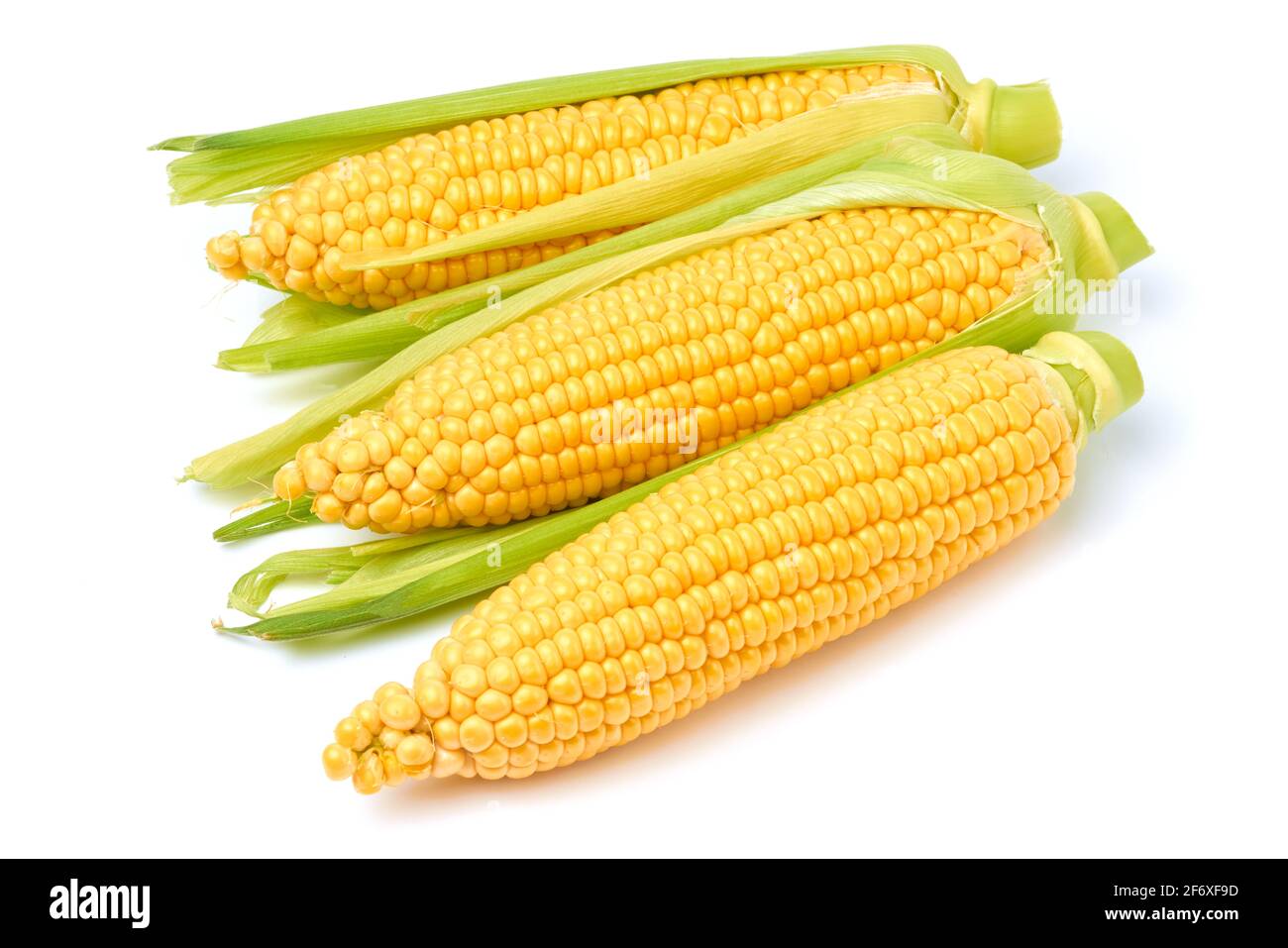 Fresh organic corn cob isolated on white background Stock Photo - Alamy