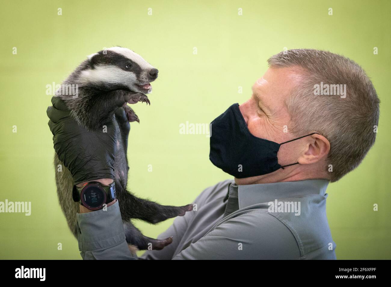Sspca High Resolution Stock Photography and Images - Alamy
