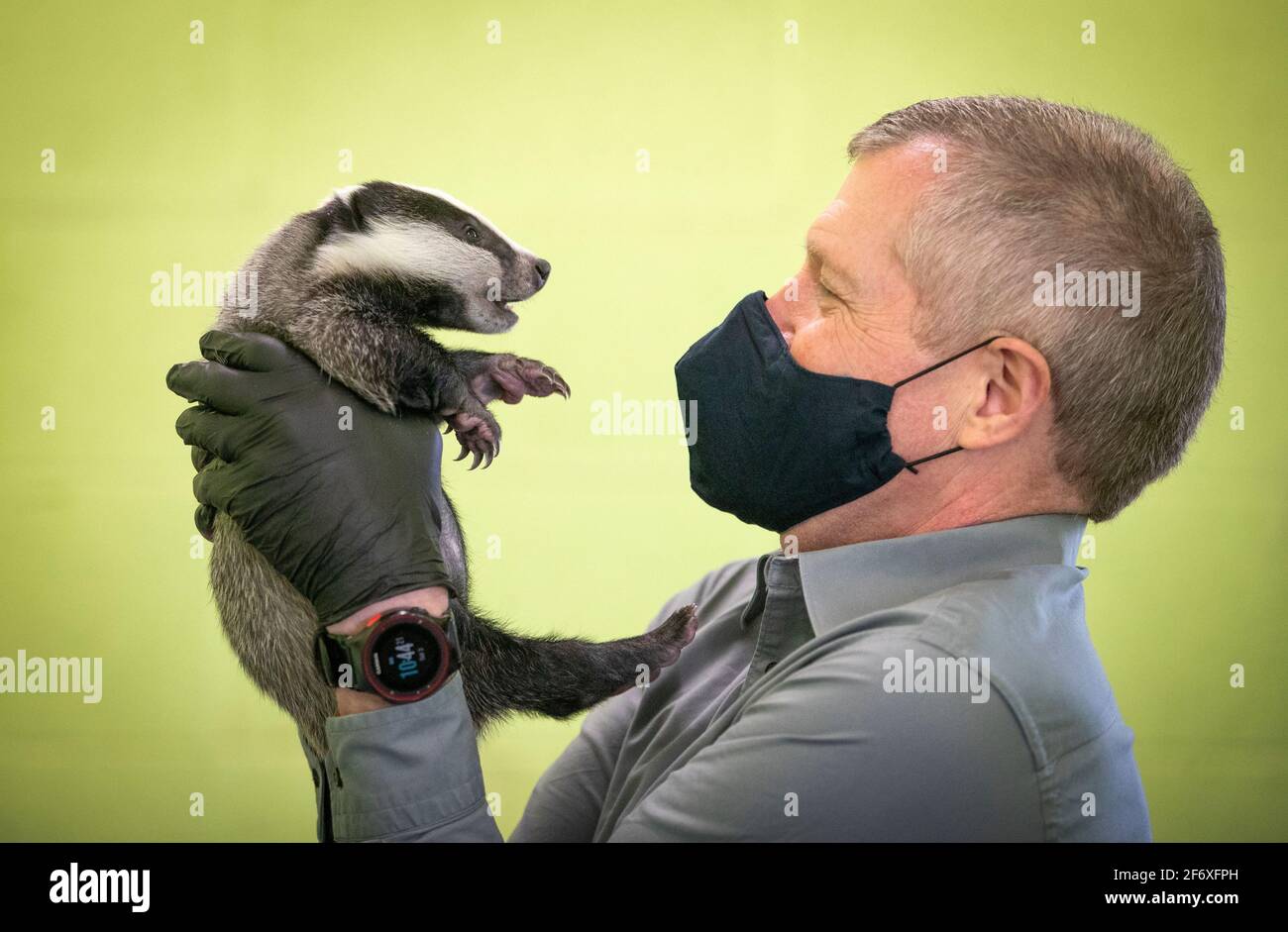 Sspca High Resolution Stock Photography and Images - Alamy