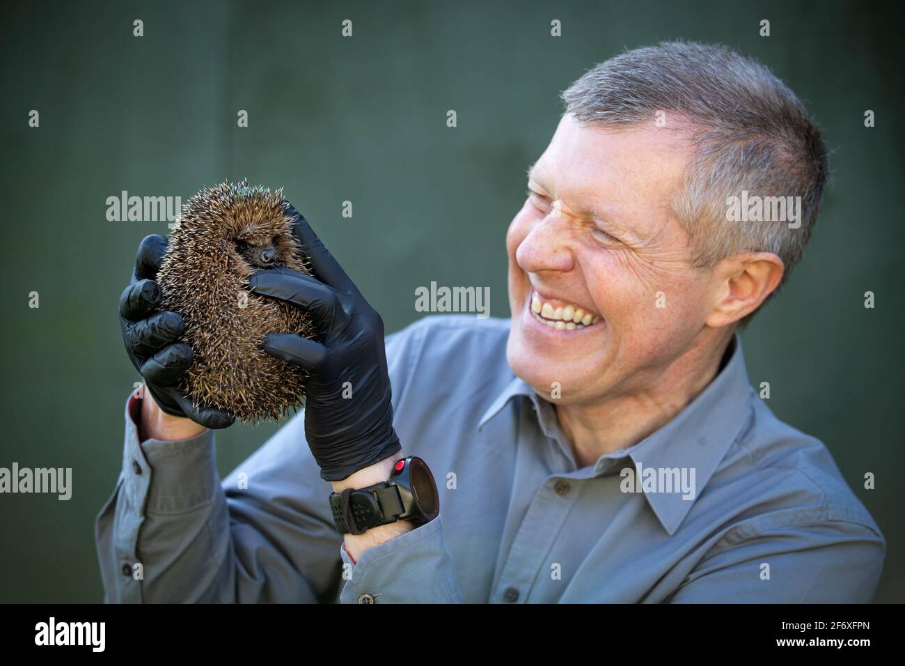 Sspca High Resolution Stock Photography and Images - Alamy
