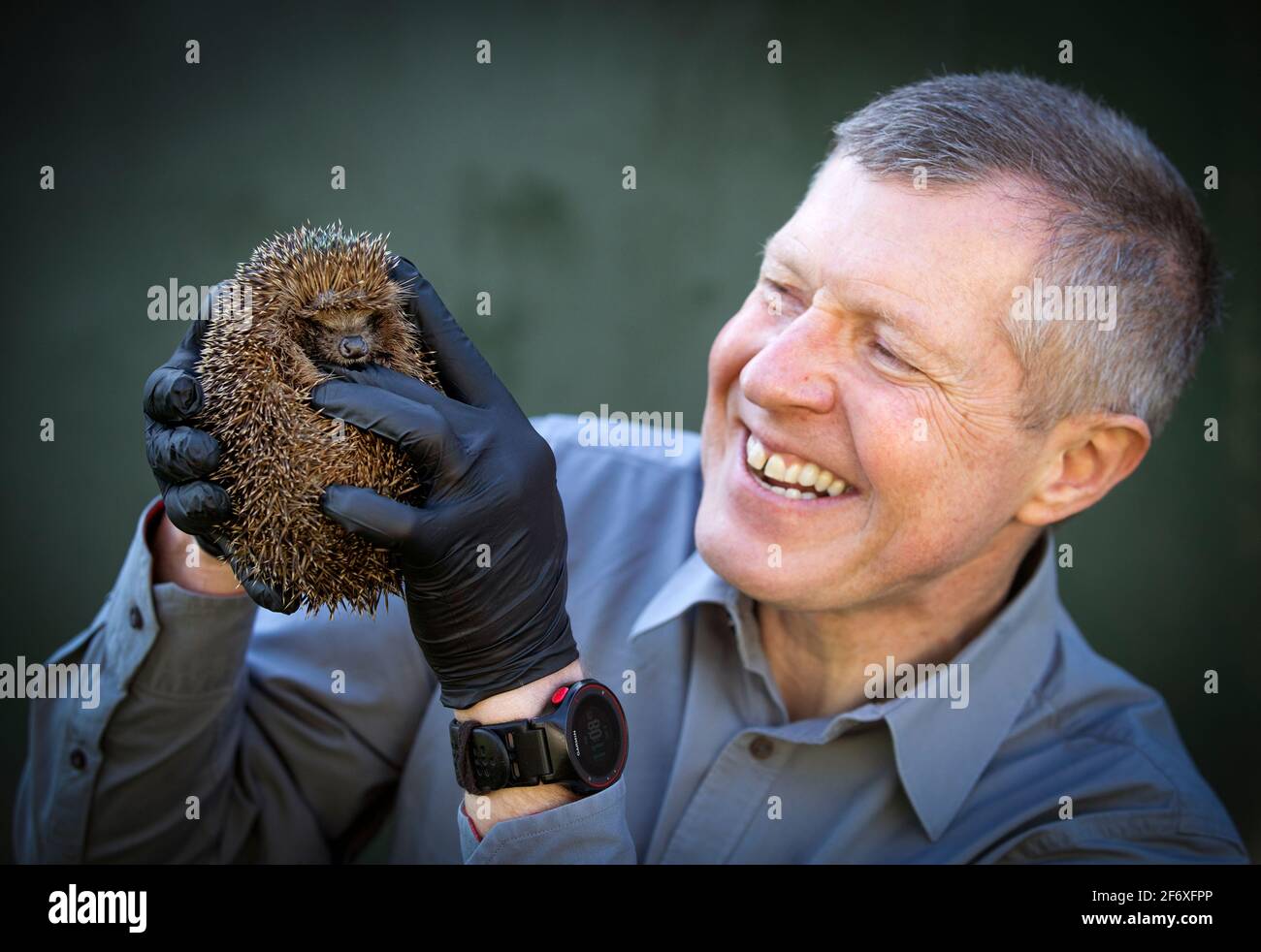 Sspca High Resolution Stock Photography and Images - Alamy