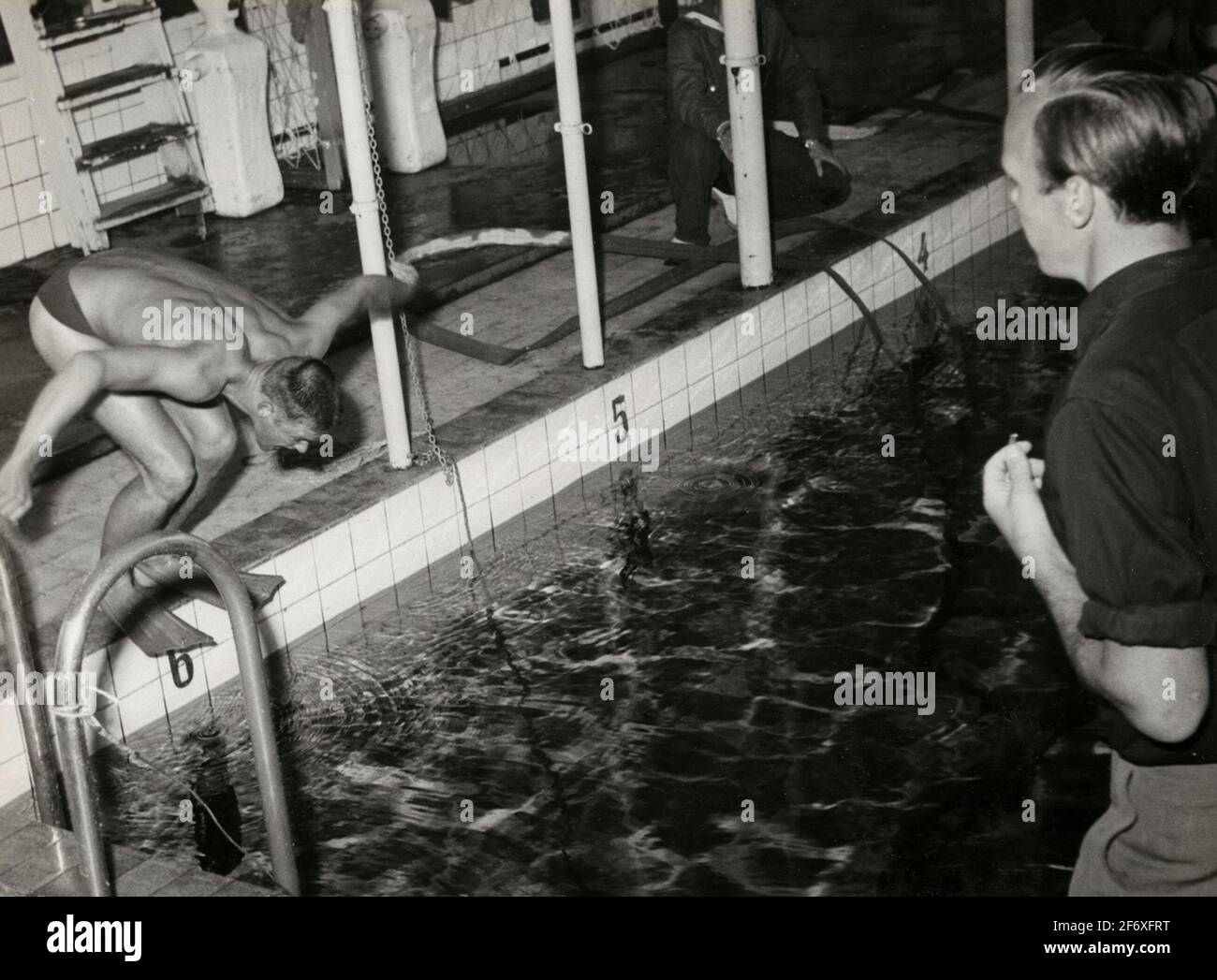 Diving in the swimming pool Stock Photo - Alamy