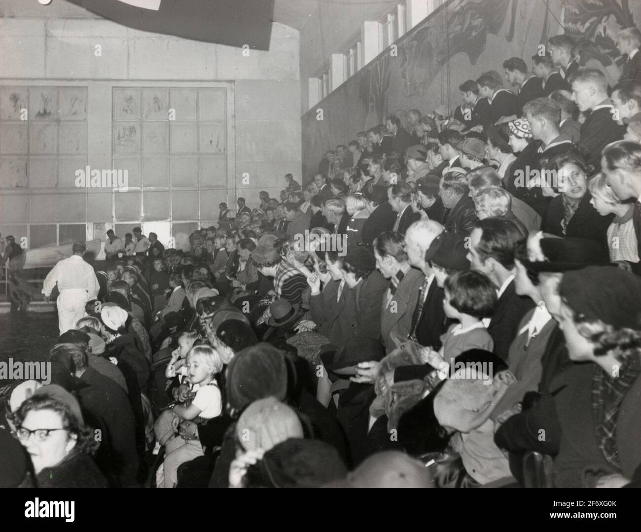 Crowd in the swimming pool Stock Photo - Alamy