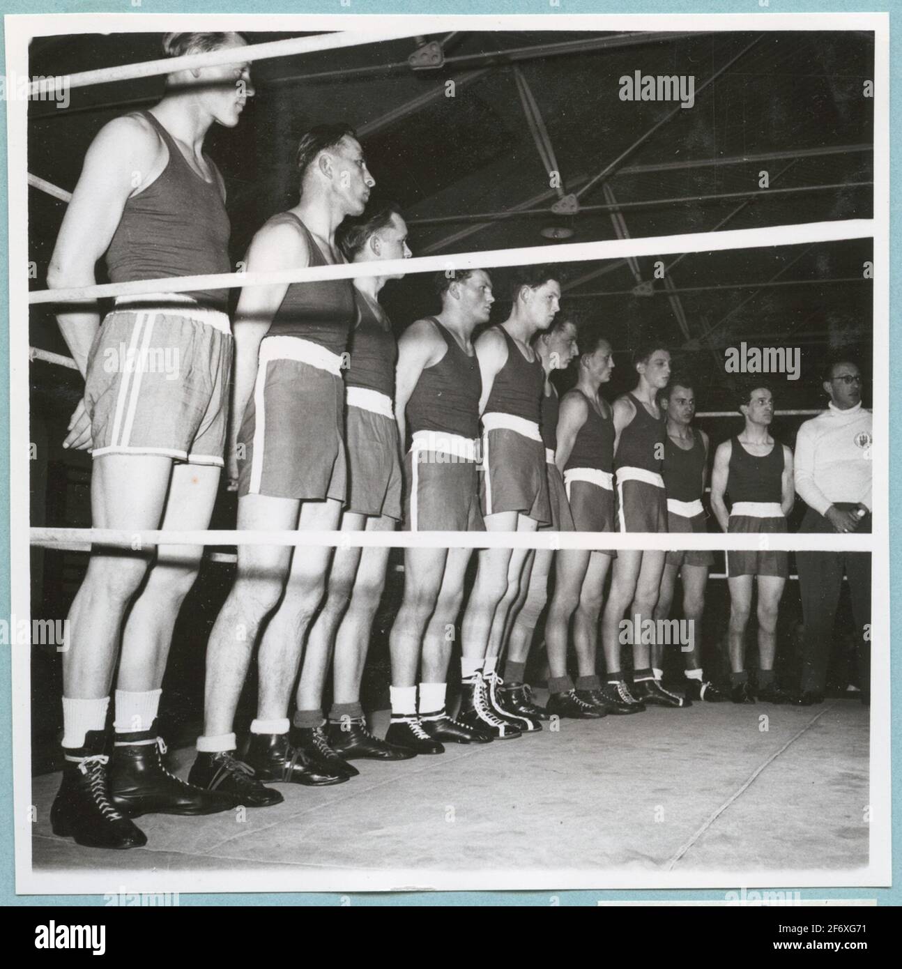Boxers set up Stock Photo - Alamy