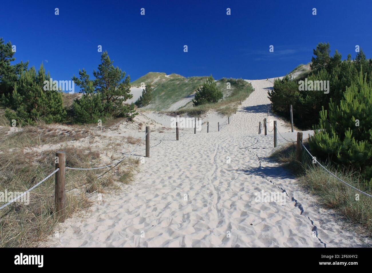 Sandy pathway with blue sky in the Slowinski National Park, Poland ...
