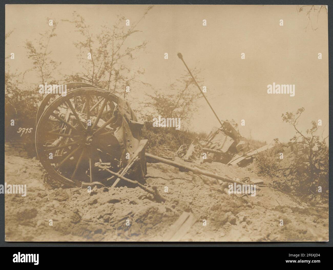 The picture shows destroyed field species for a upset battlefield ...