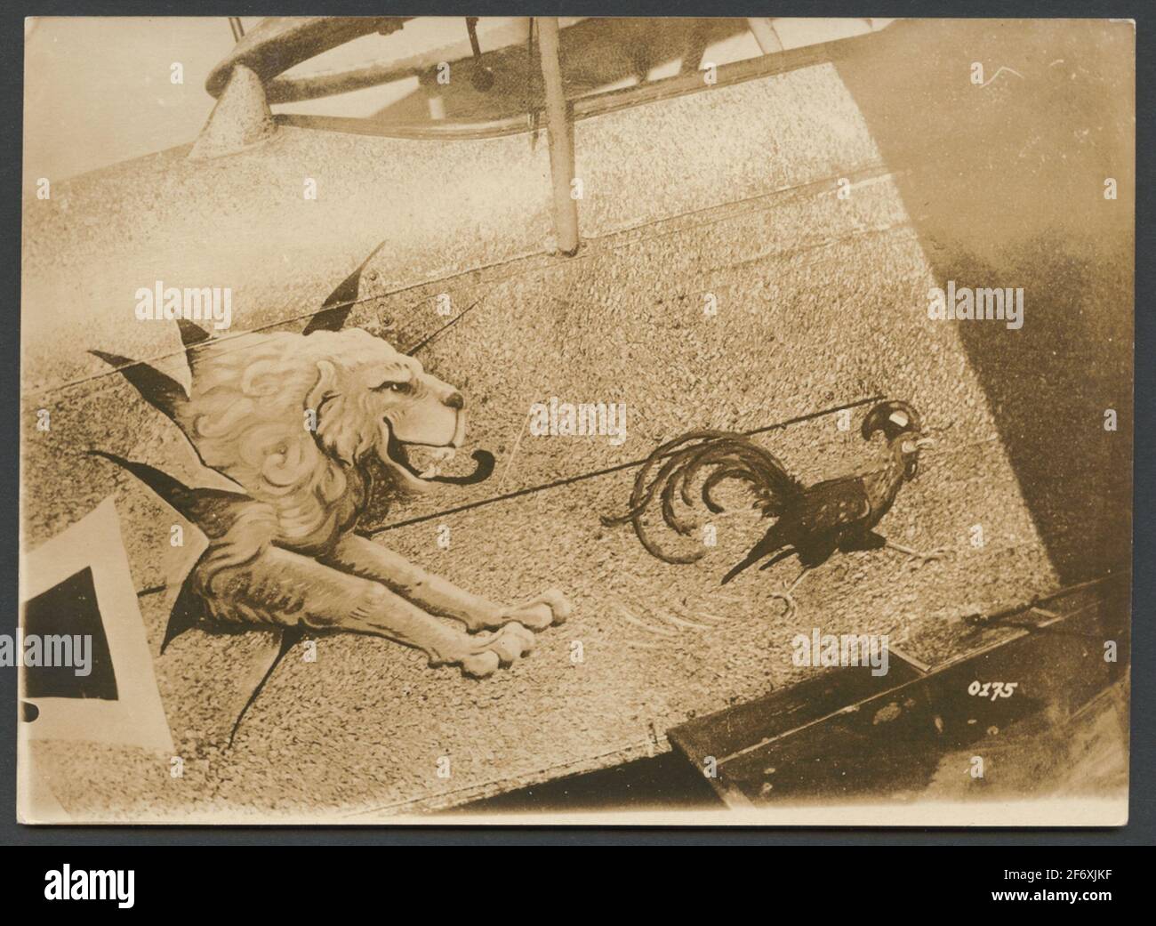 Chasing a rooster hi-res stock photography and images - Alamy