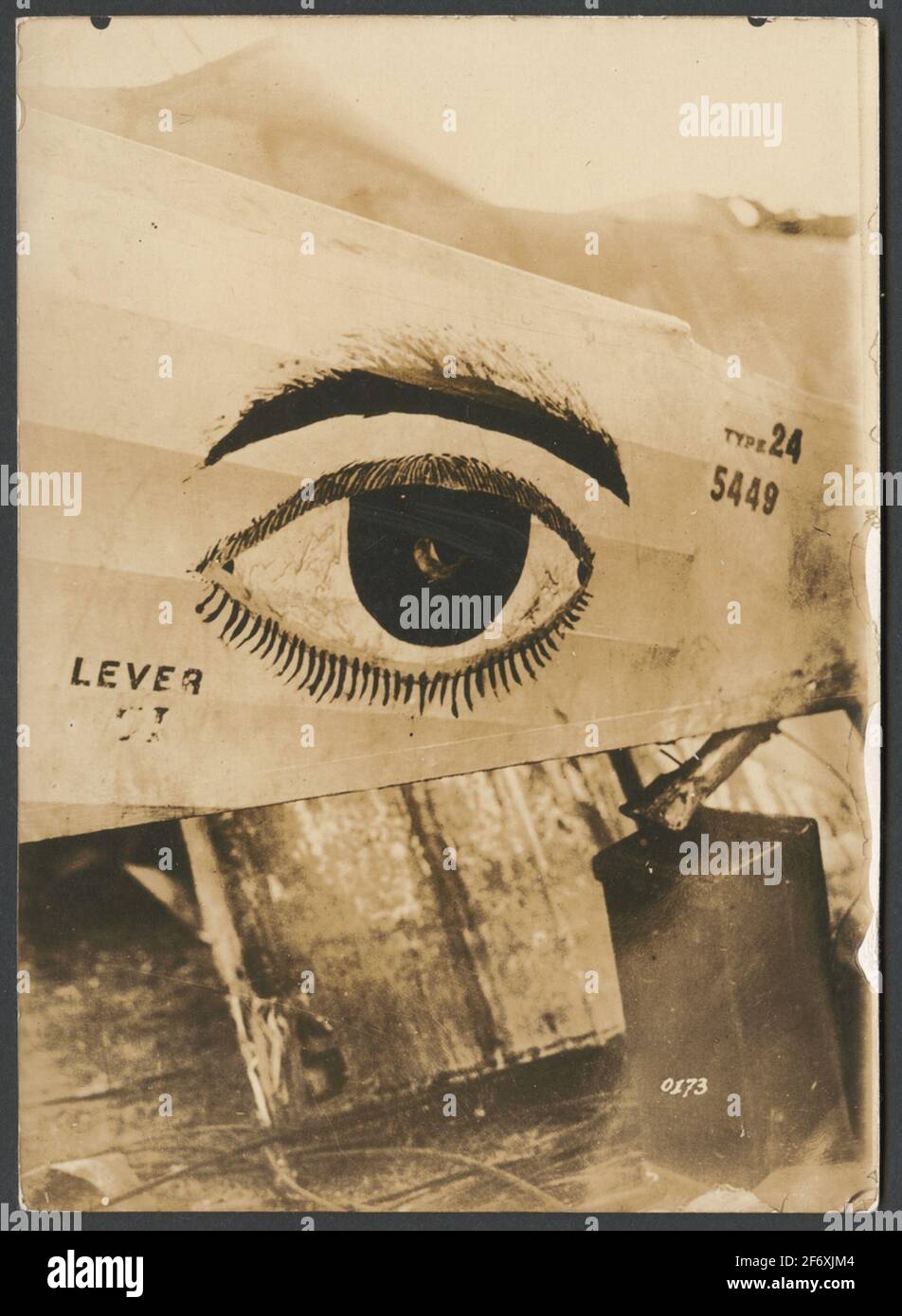 Image show painted eye as decoration on an airplane .. The image show ...