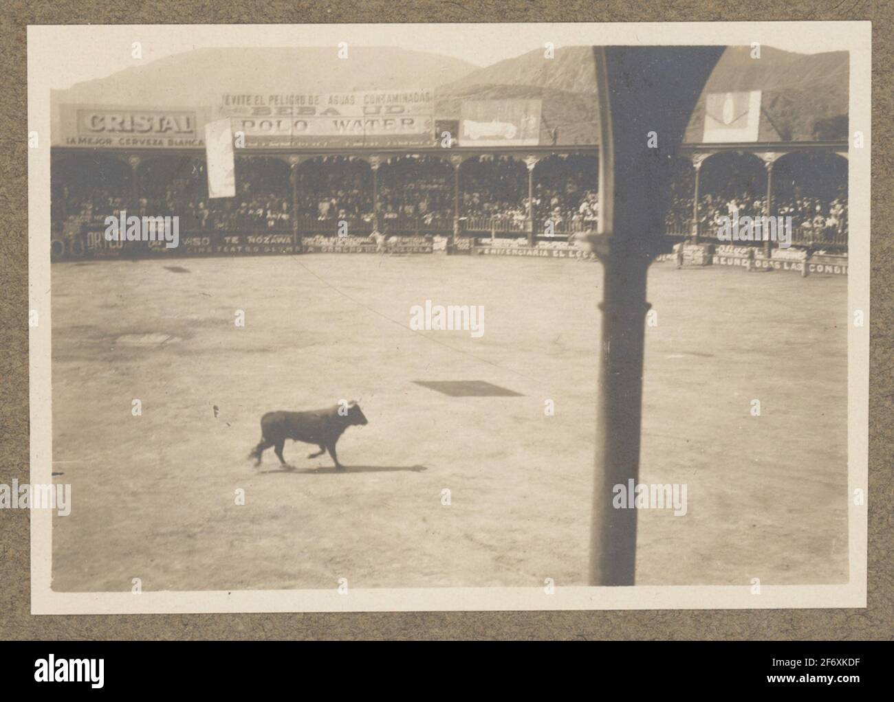 Fylgia (depicted name).Fylgia (depicted name Stock Photo - Alamy