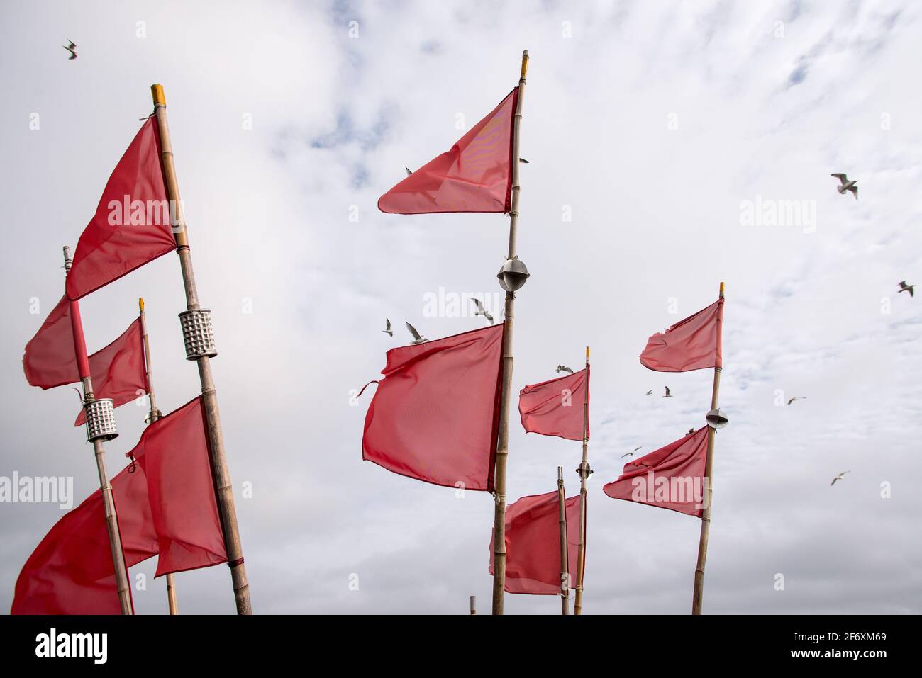 Baltic flags hi-res stock photography and images - Alamy