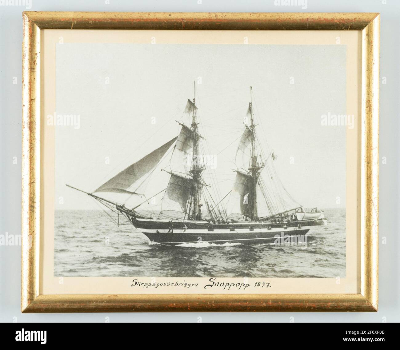 The picture shows the Skeppsgossebrigen snapper at sea. The picture ...