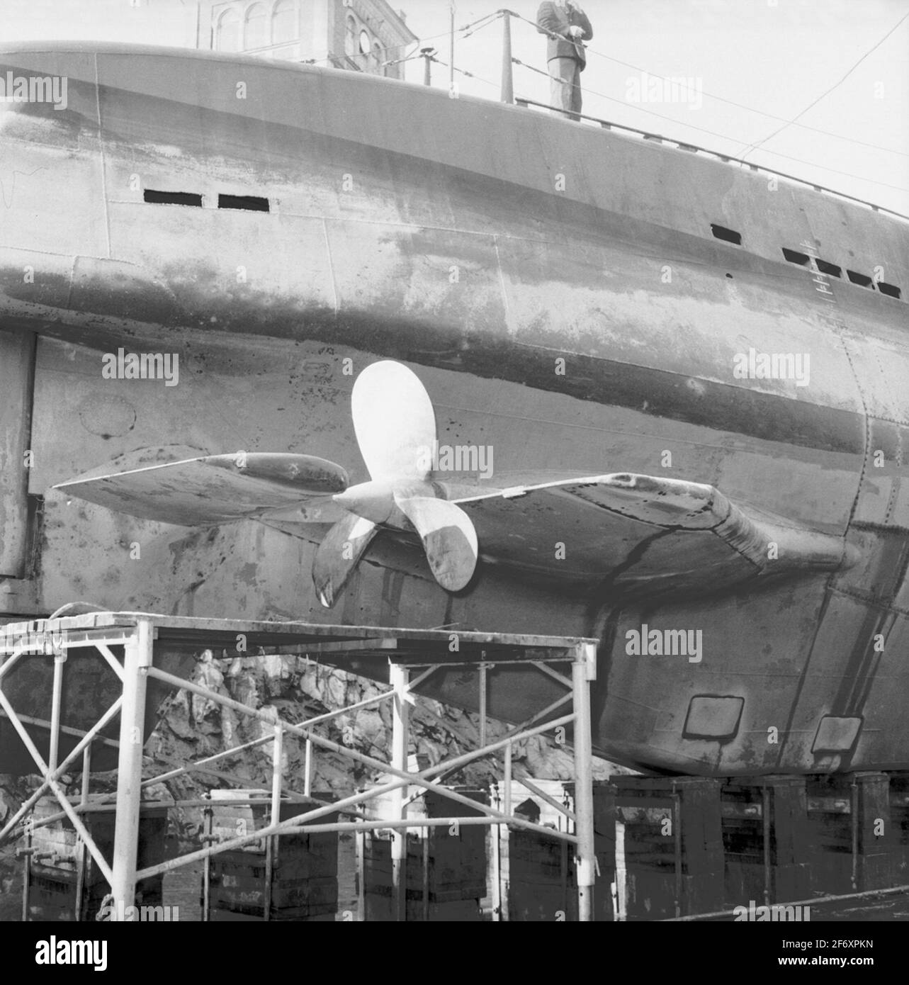 The submarine shark propeller damage.The shark (depicted - name Stock ...