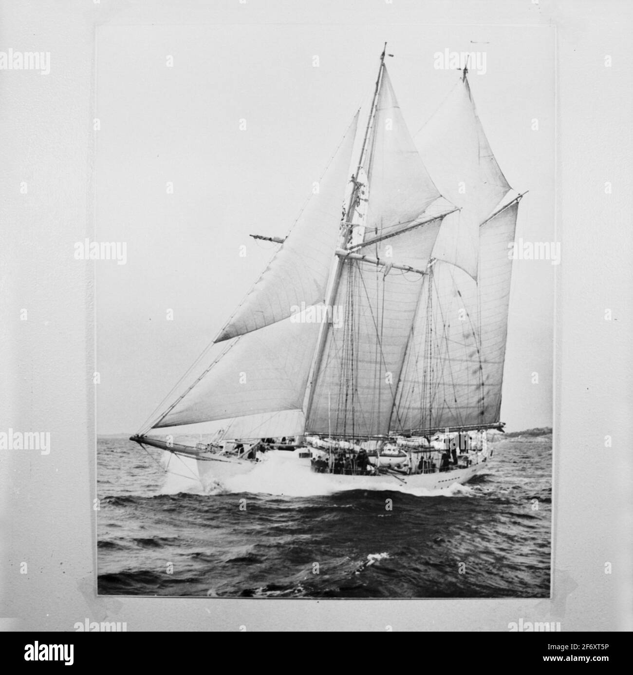 Glad (depicted name).Glad (depicted name Stock Photo - Alamy