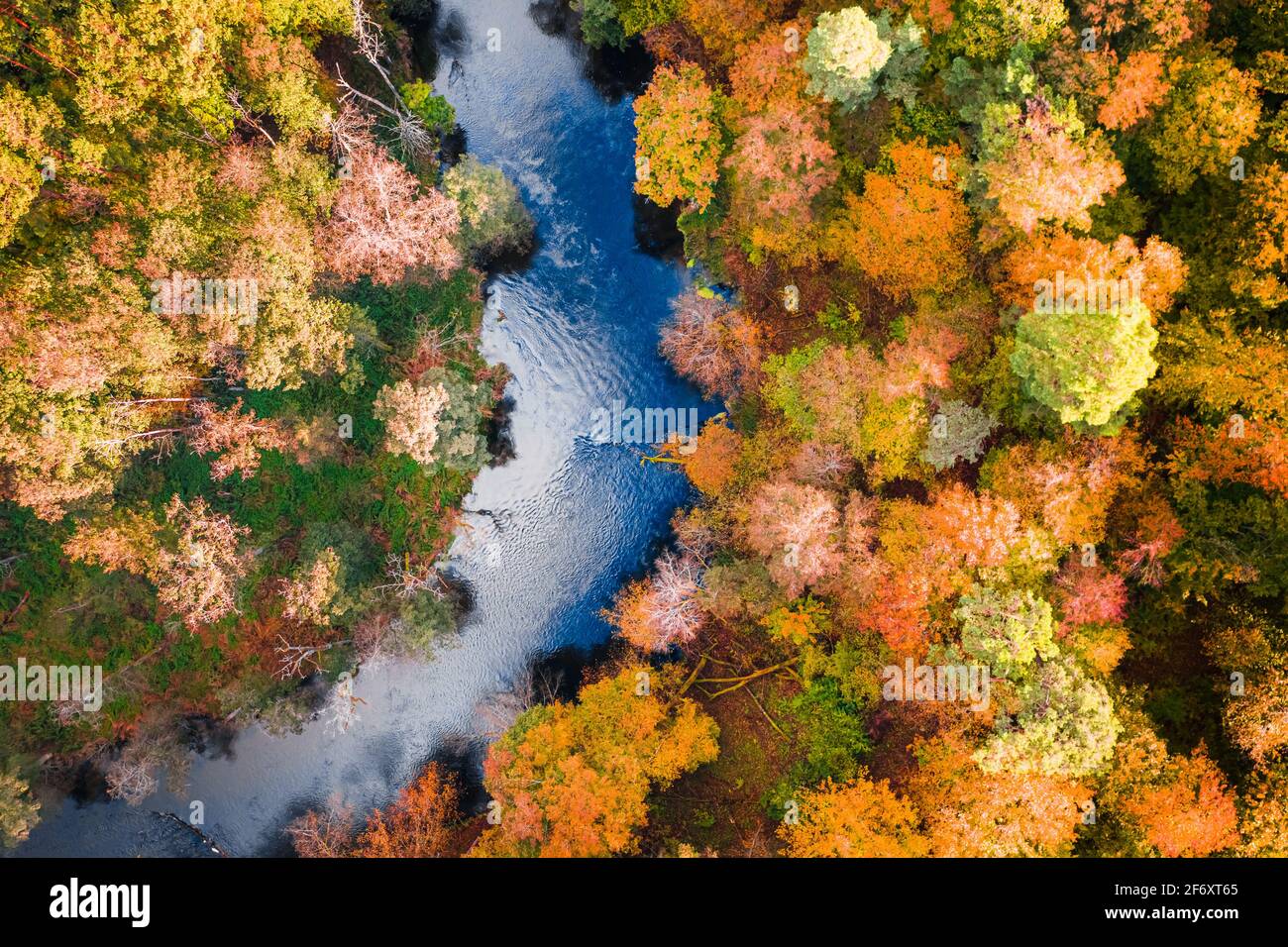 River and colorful autumn forest. Aerial view of wildlife in Poland, Europe Stock Photo - Alamy