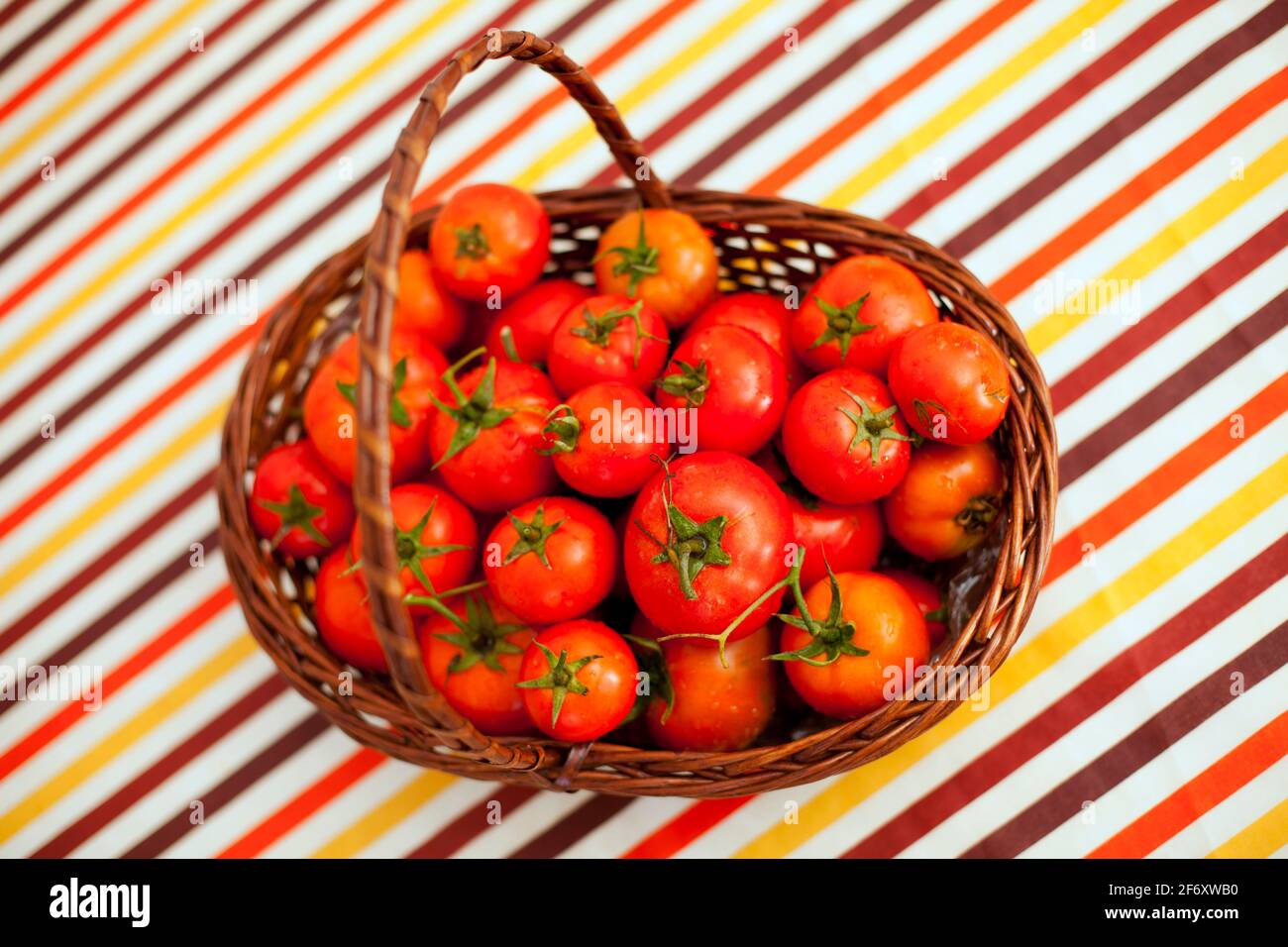 Tomatoes from a rustic farm Stock Photo - Alamy
