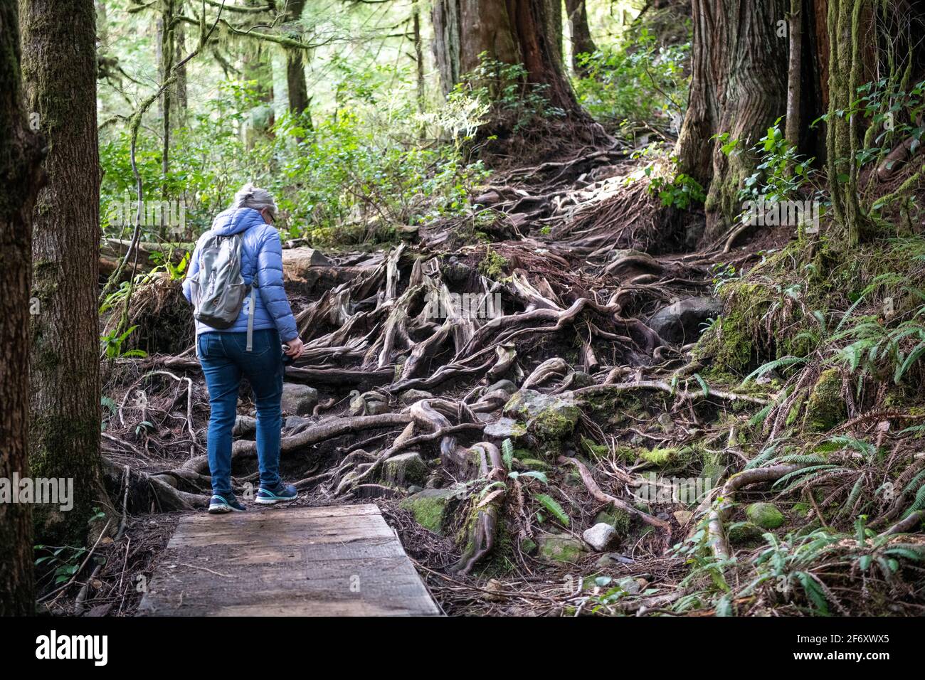 Avatar grove vancouver island hi-res stock photography and images - Alamy
