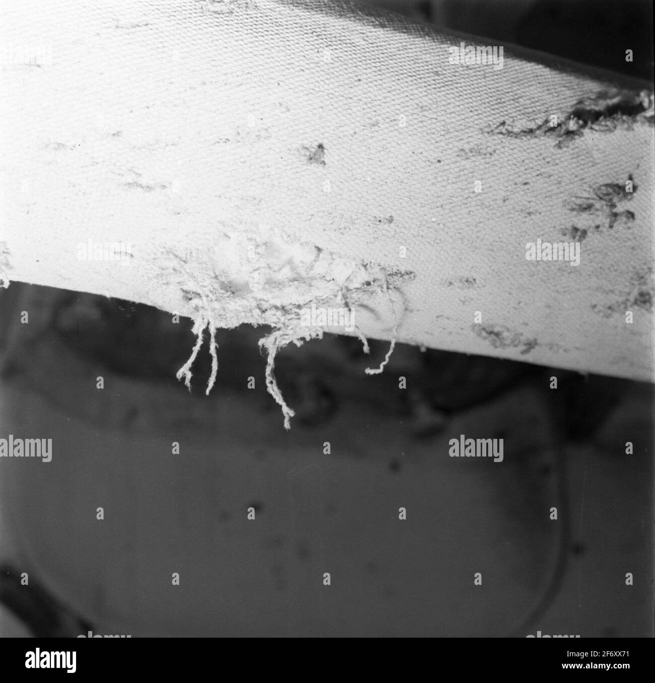 Fylgia (depicted - name).Fylgia (depicted - name Stock Photo - Alamy