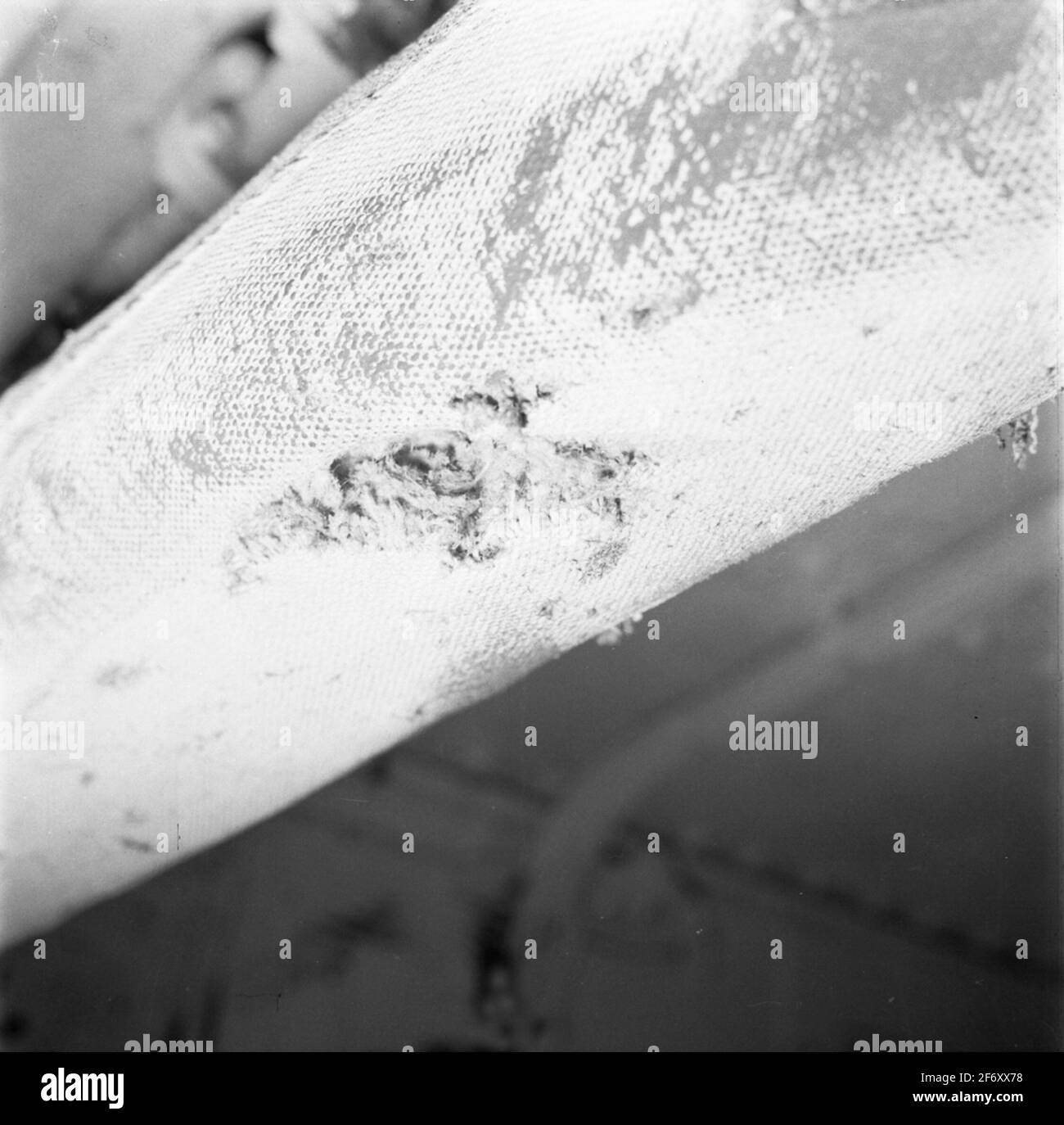 Fylgia (depicted - name).Fylgia (depicted - name Stock Photo - Alamy