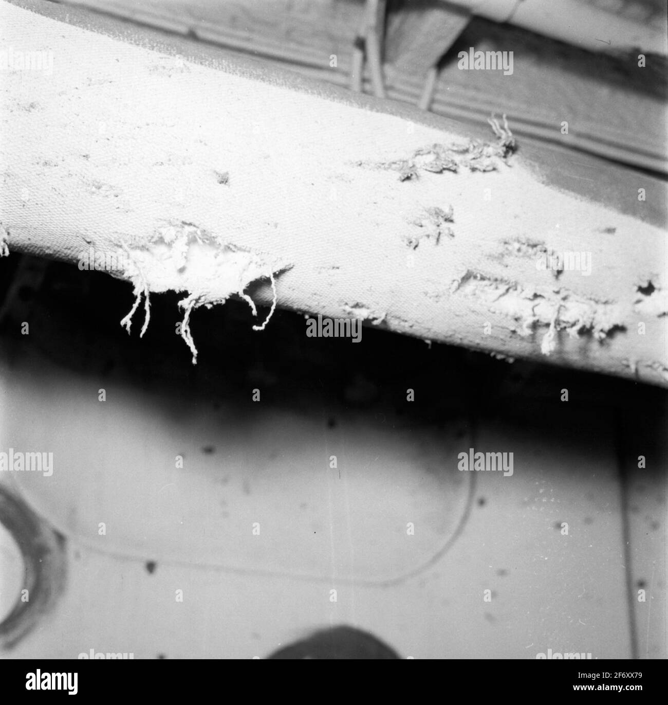 Fylgia (depicted - name).Fylgia (depicted - name Stock Photo - Alamy