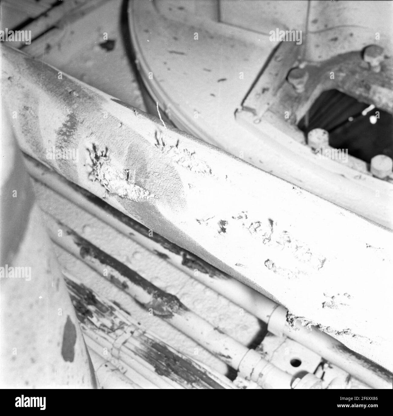 Fylgia (depicted - name).Fylgia (depicted - name Stock Photo - Alamy