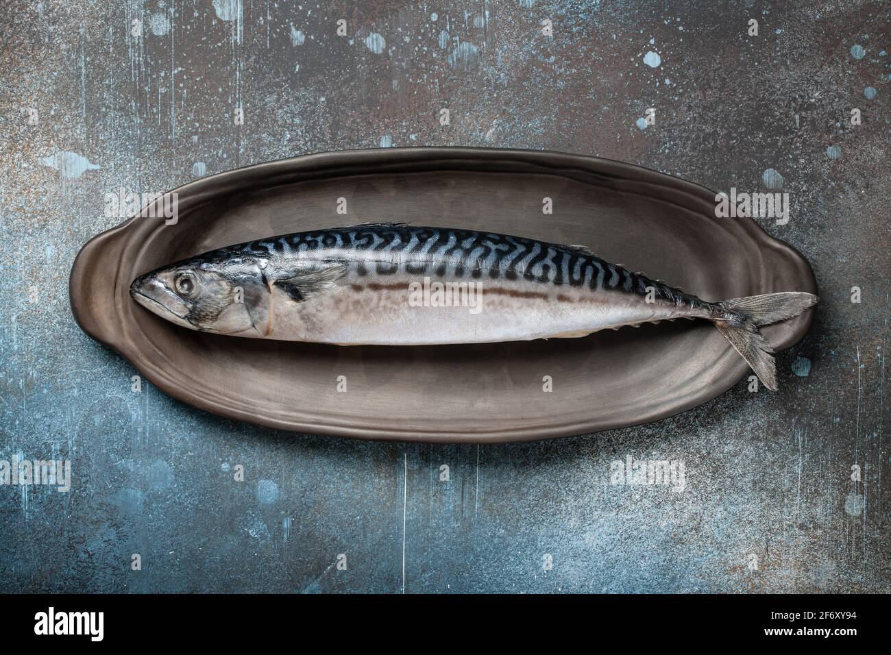 Fresh mackerel fish on ceramic plate Stock Photo - Alamy