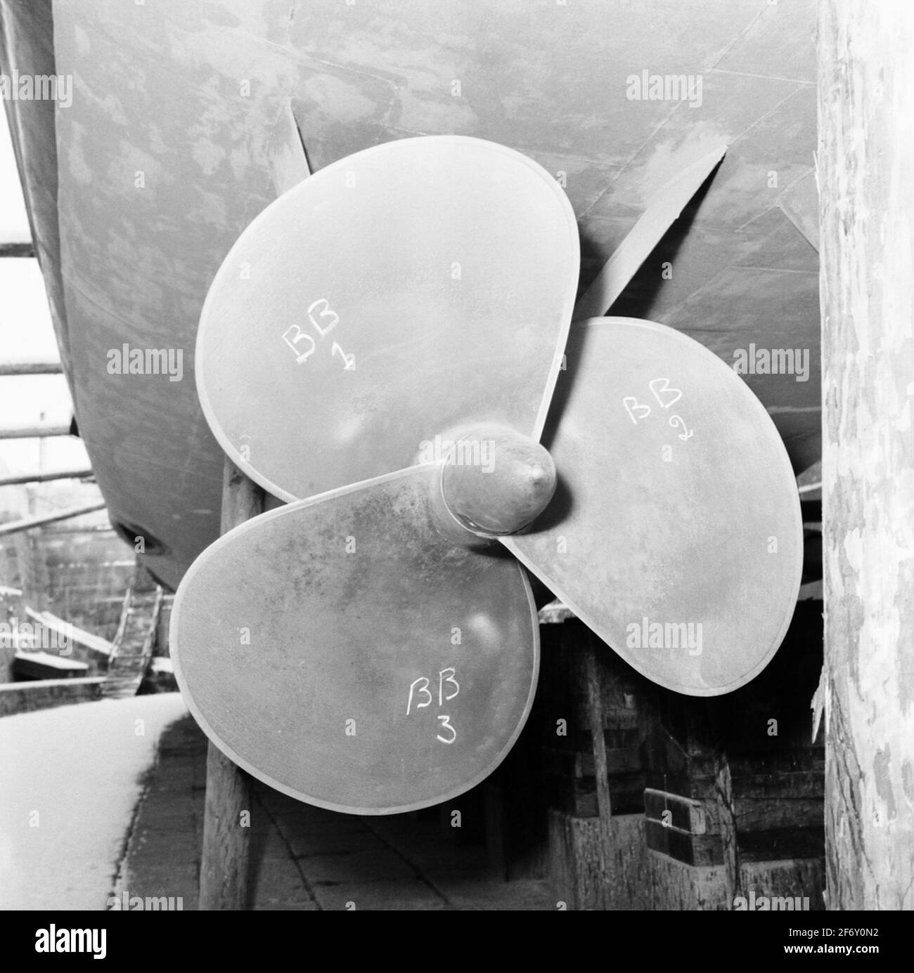 T110 Arcturus (depicted - name).T110 Arcturus (depicted - name Stock ...