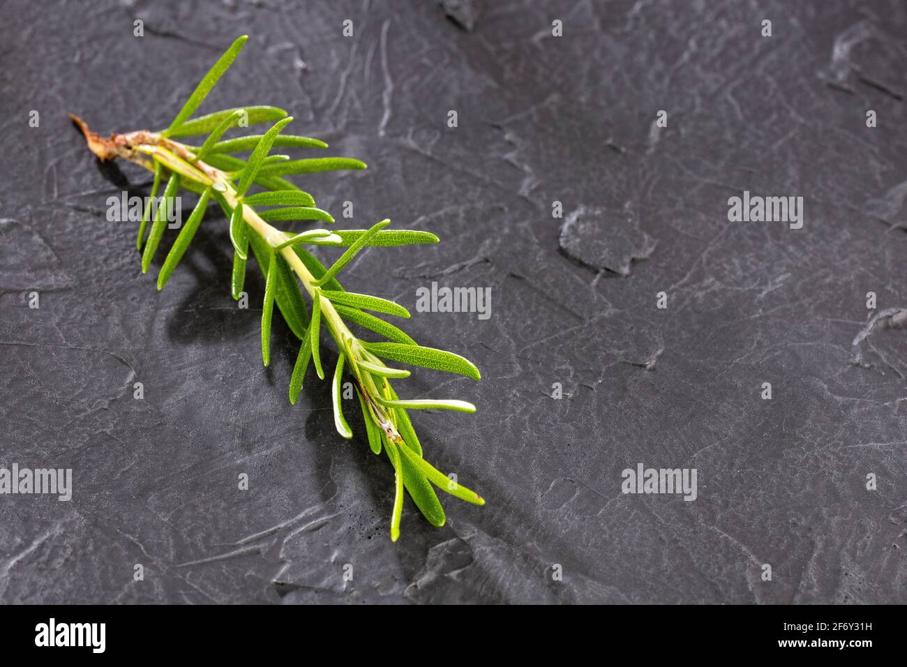 Rosmarinus officinalis - Organic rosemary. Text space Stock Photo - Alamy