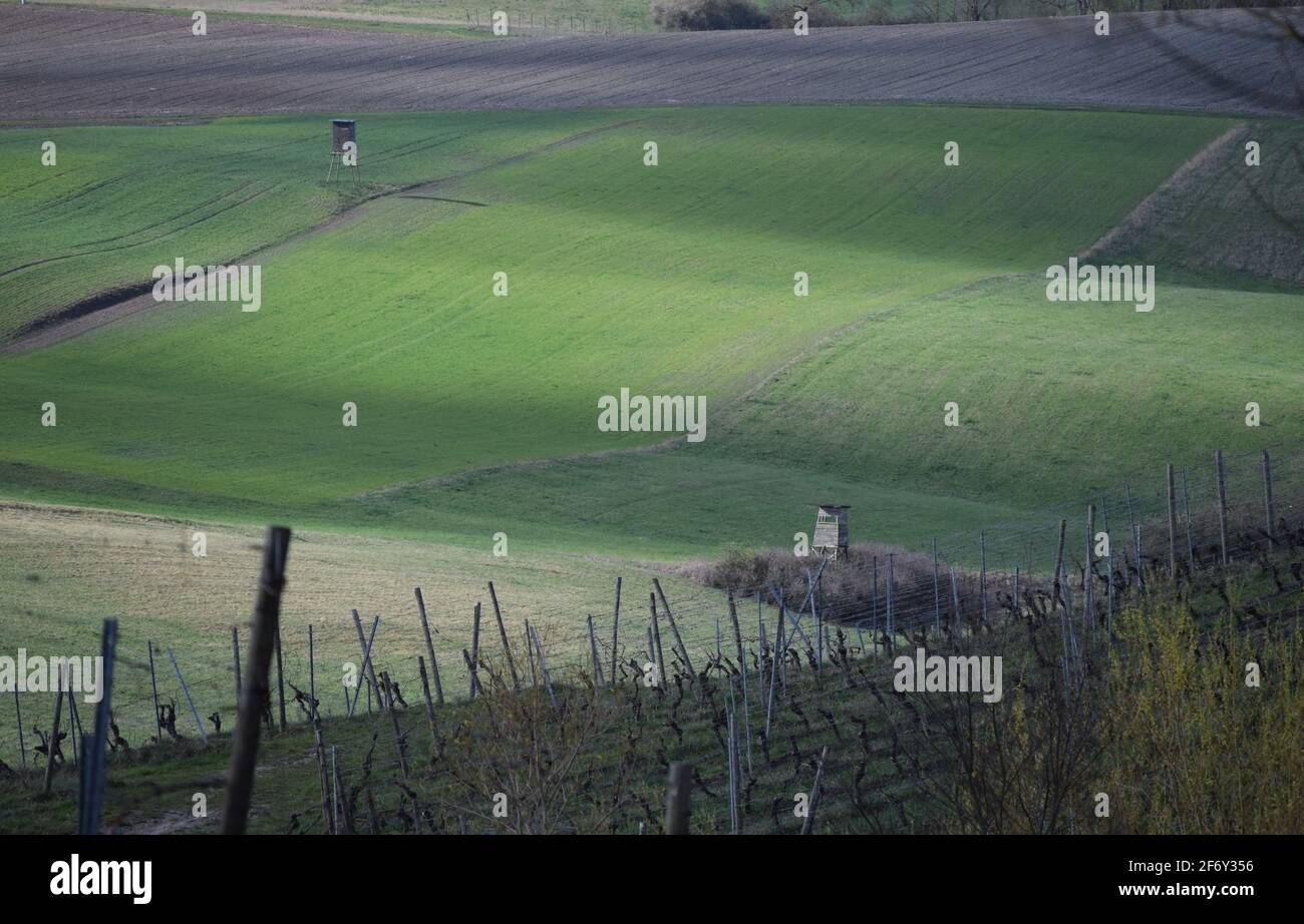 Scattered light hi-res stock photography and images - Alamy