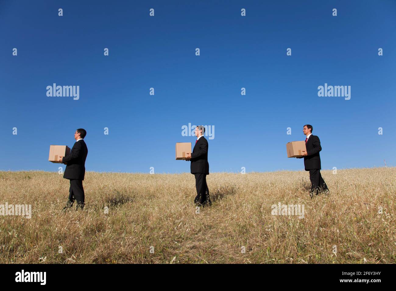 three businessman lineup holding a cardboard box over his head Stock ...