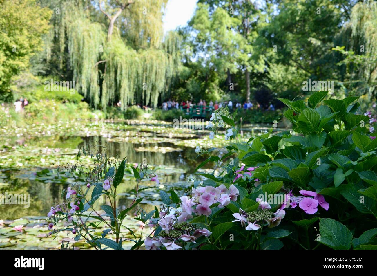Water lilies and japanese bridge hi-res stock photography and images ...