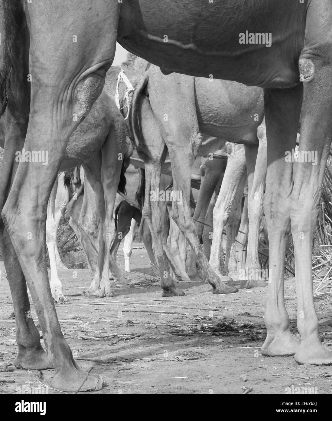 Freight run Black and White Stock Photos & Images - Alamy
