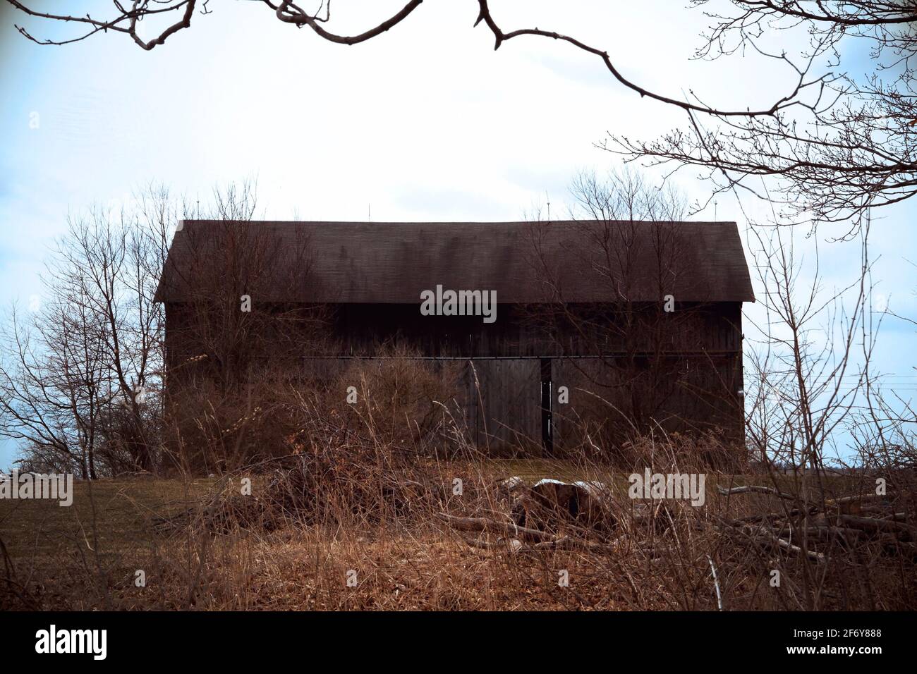 An Old Wooden barn stands alone and abandoned among the trees in ...