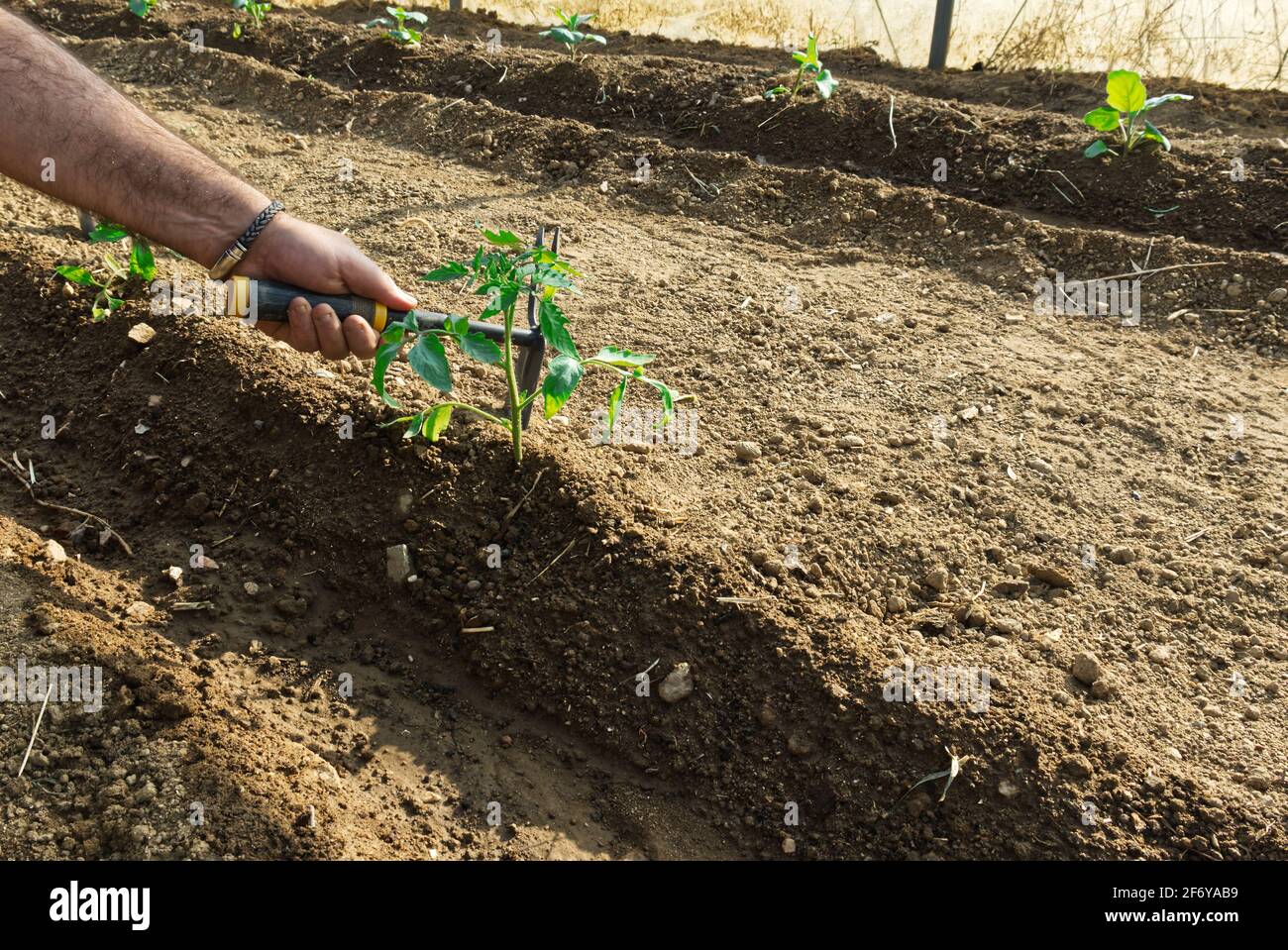 Hand hoeing hi-res stock photography and images - Alamy