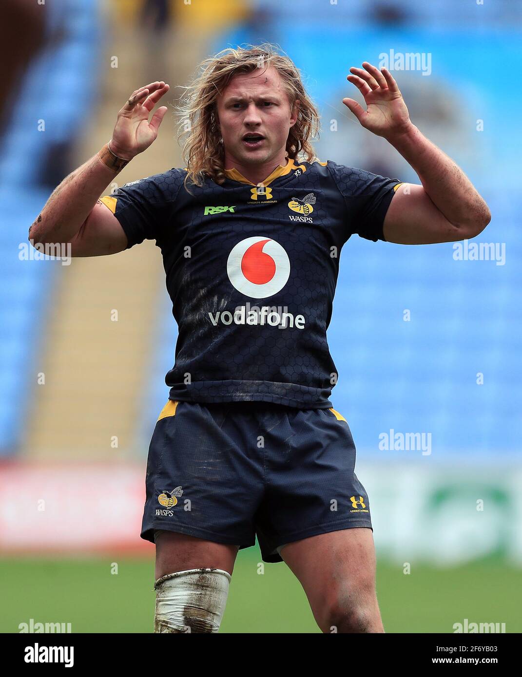 Wasps tommy taylor hi-res stock photography and images - Alamy
