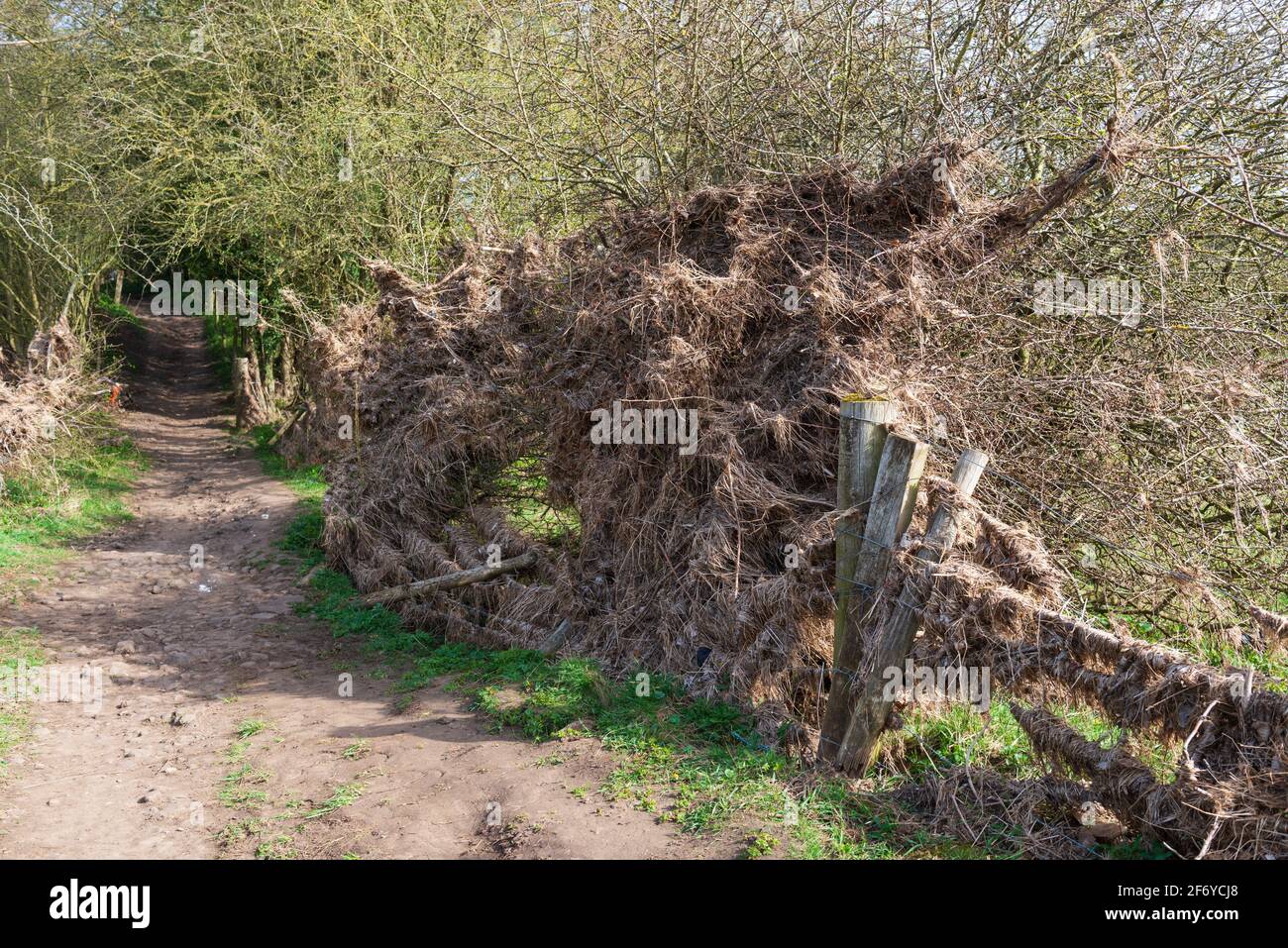 Flood debris from the river Wharfe near Wetherby washed up against a ...
