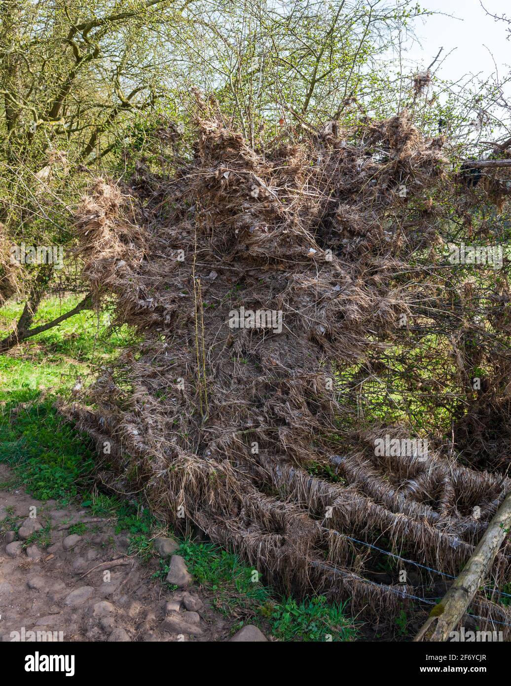 Flood debris from the river Wharfe near Wetherby washed up against a ...