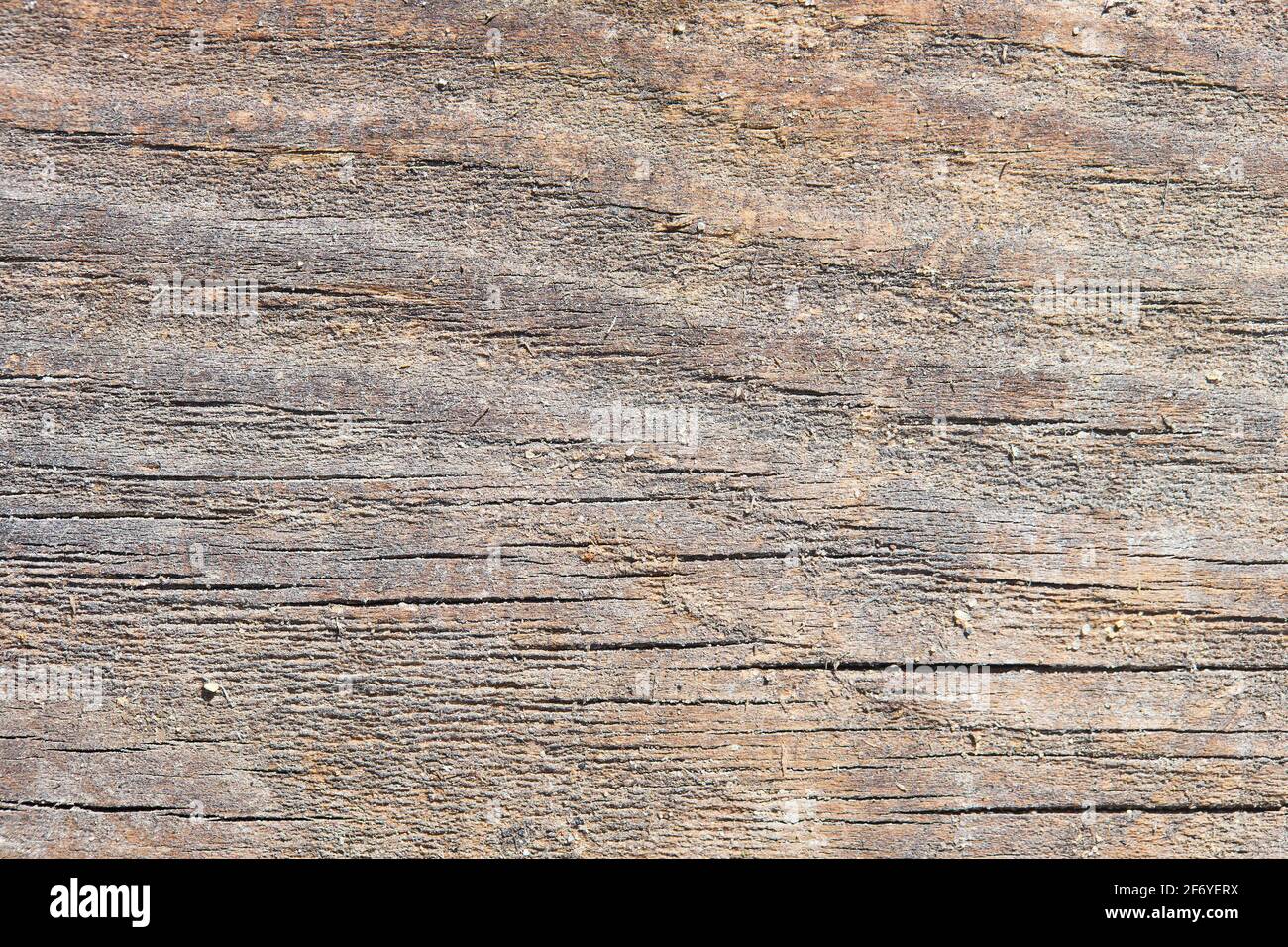 Old sandy weathered washed tainted wood texture with some moss and ...