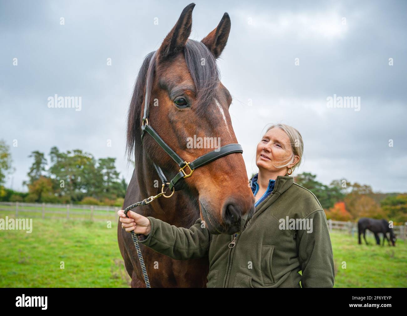 Horse Owner in Field Stock Photo - Alamy