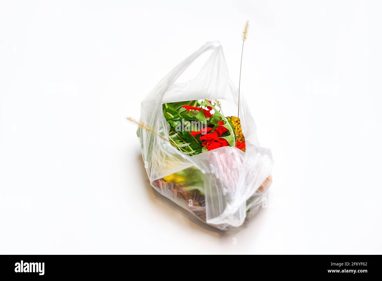 DEFOCUS. Environmental pollution. Red and green plants flowers in a ...