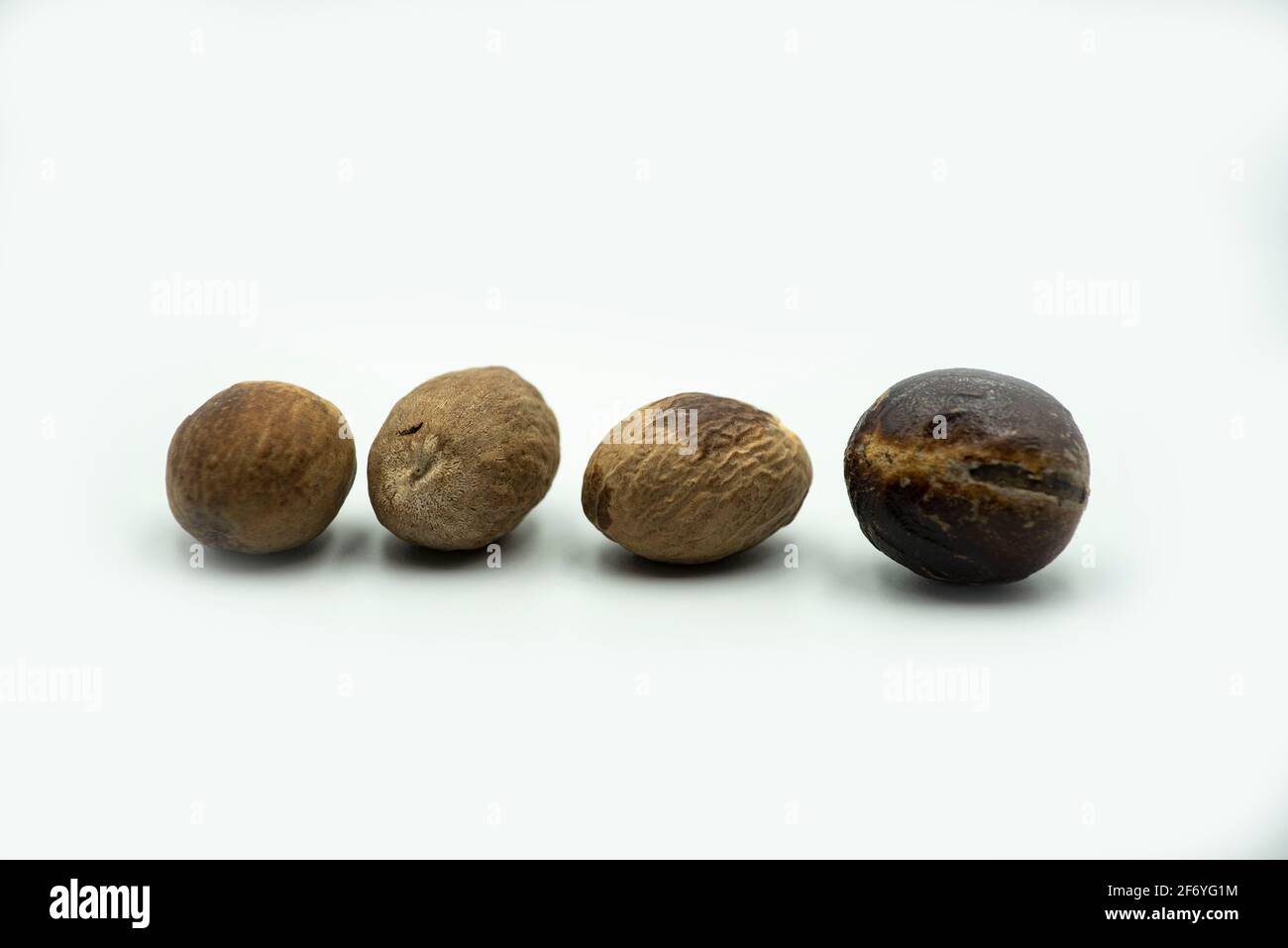 Mumbai , India - 15 March 2021, Nutmeg or Jaifal Spice on white ...