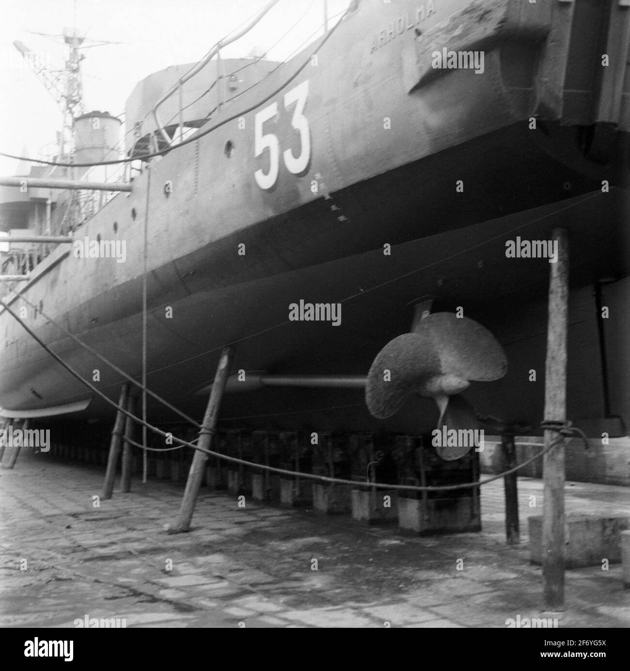 Bottom habitat Black and White Stock Photos & Images - Alamy