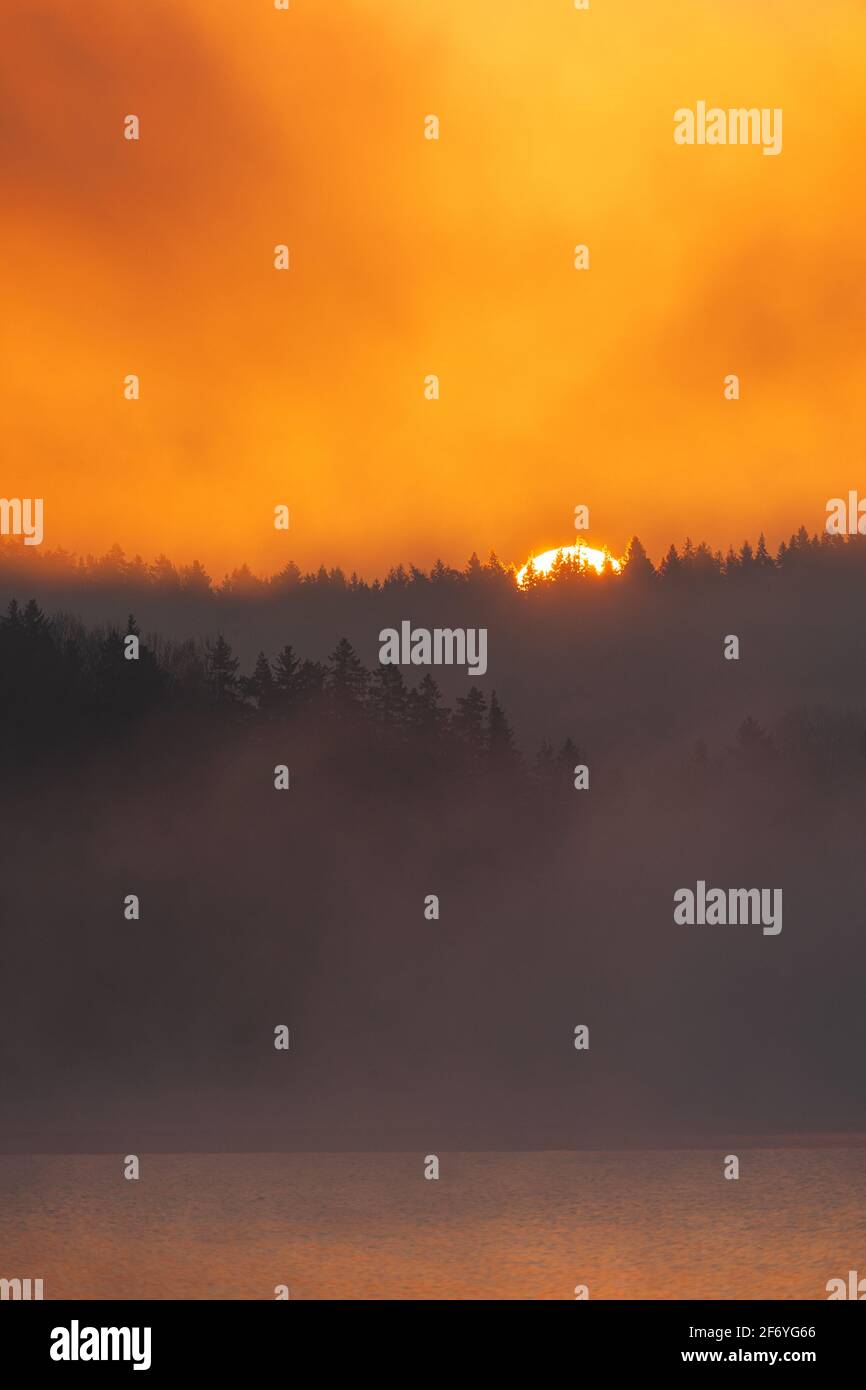 Sun rising above forest and misty lake, Sweden Stock Photo - Alamy