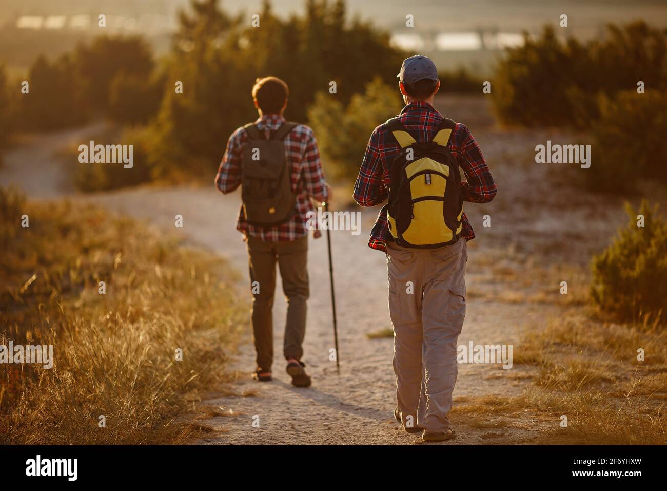 two men hikers enjoy a walk in nature, sunset time in summer. enjoying ...