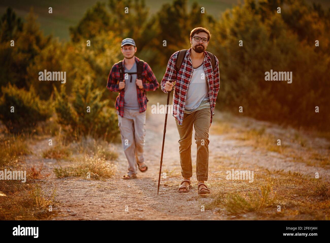 two men hikers enjoy a walk in nature, sunset time in summer. enjoying ...