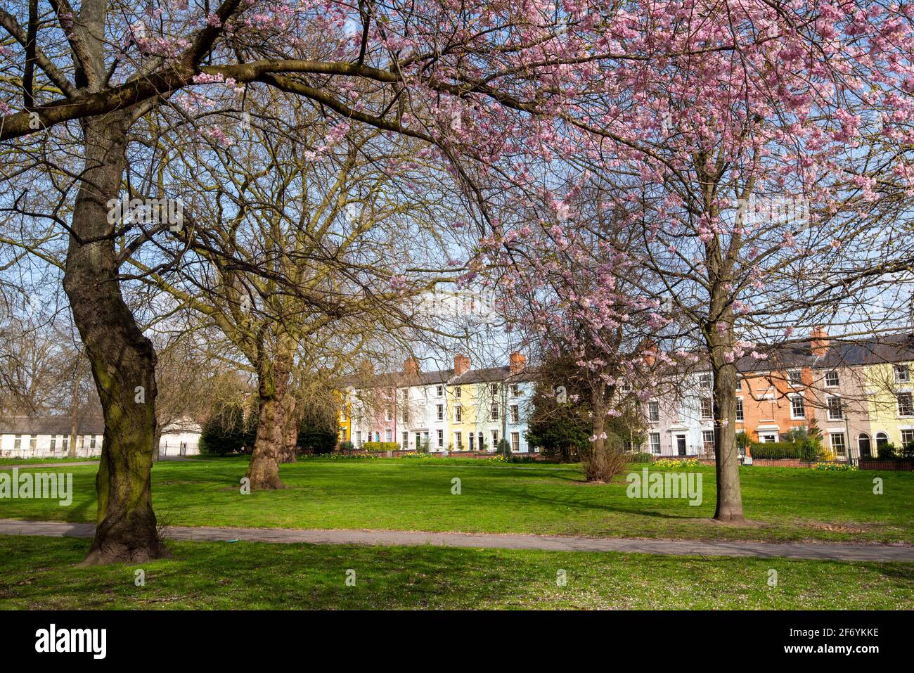 Spring blossom at Victoria Park in Sneinton Nottingham, Nottinghamshire ...