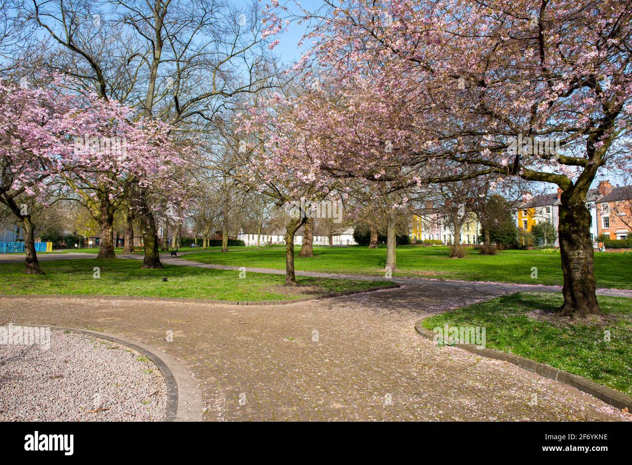 Spring blossom at Victoria Park in Sneinton Nottingham, Nottinghamshire ...