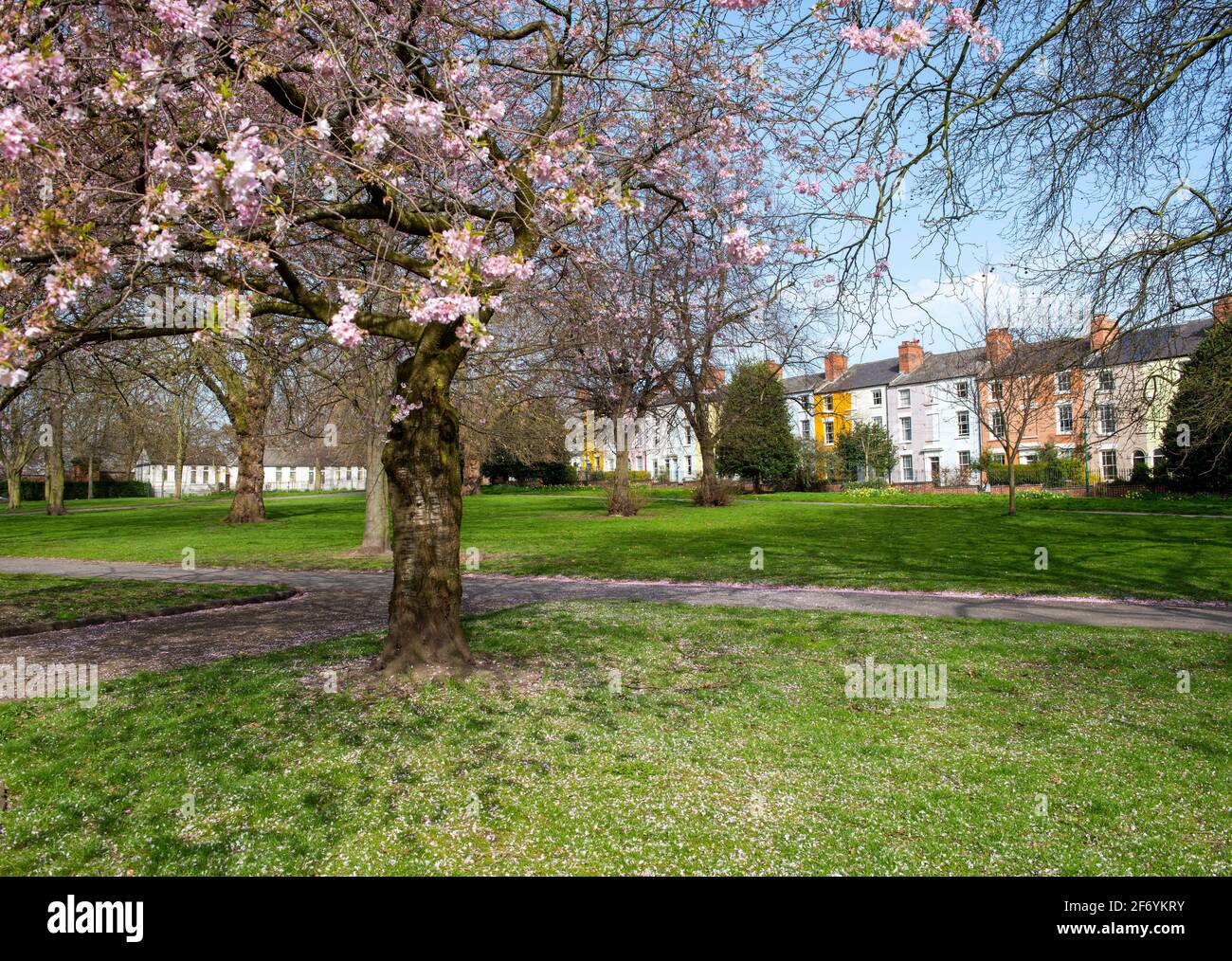 Spring blossom at Victoria Park in Sneinton Nottingham, Nottinghamshire ...