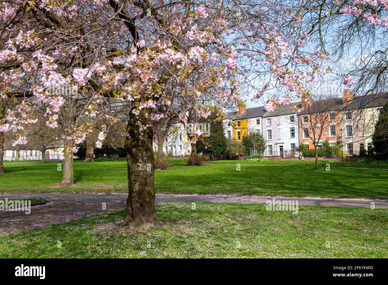 Spring blossom at Victoria Park in Sneinton Nottingham, Nottinghamshire ...