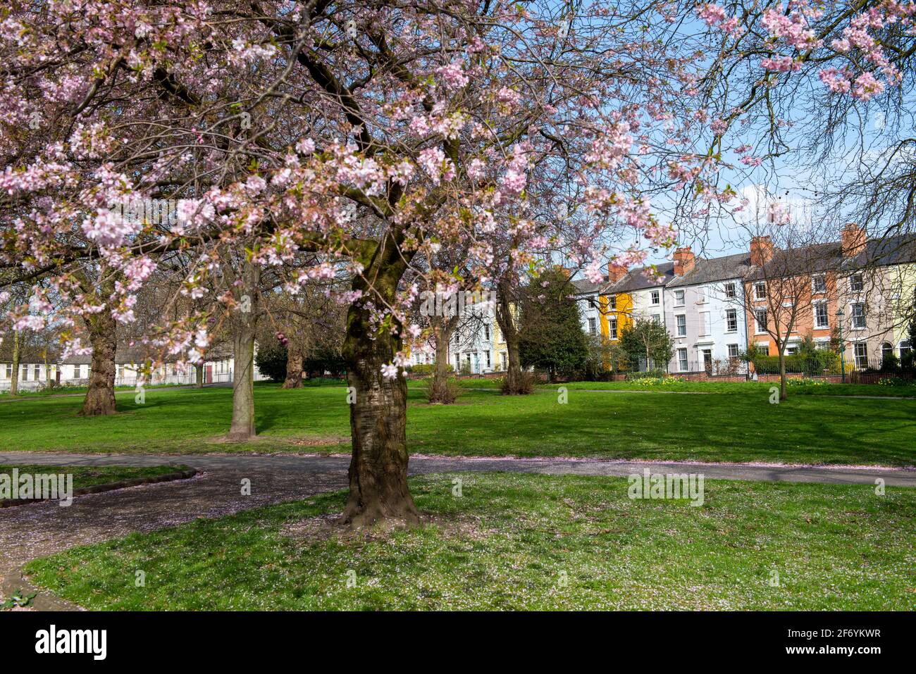 Spring blossom at Victoria Park in Sneinton Nottingham, Nottinghamshire ...