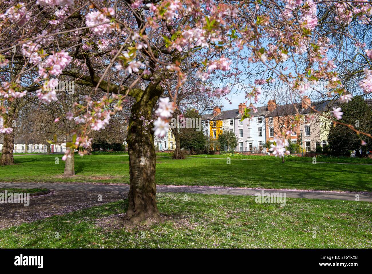Spring blossom at Victoria Park in Sneinton Nottingham, Nottinghamshire ...